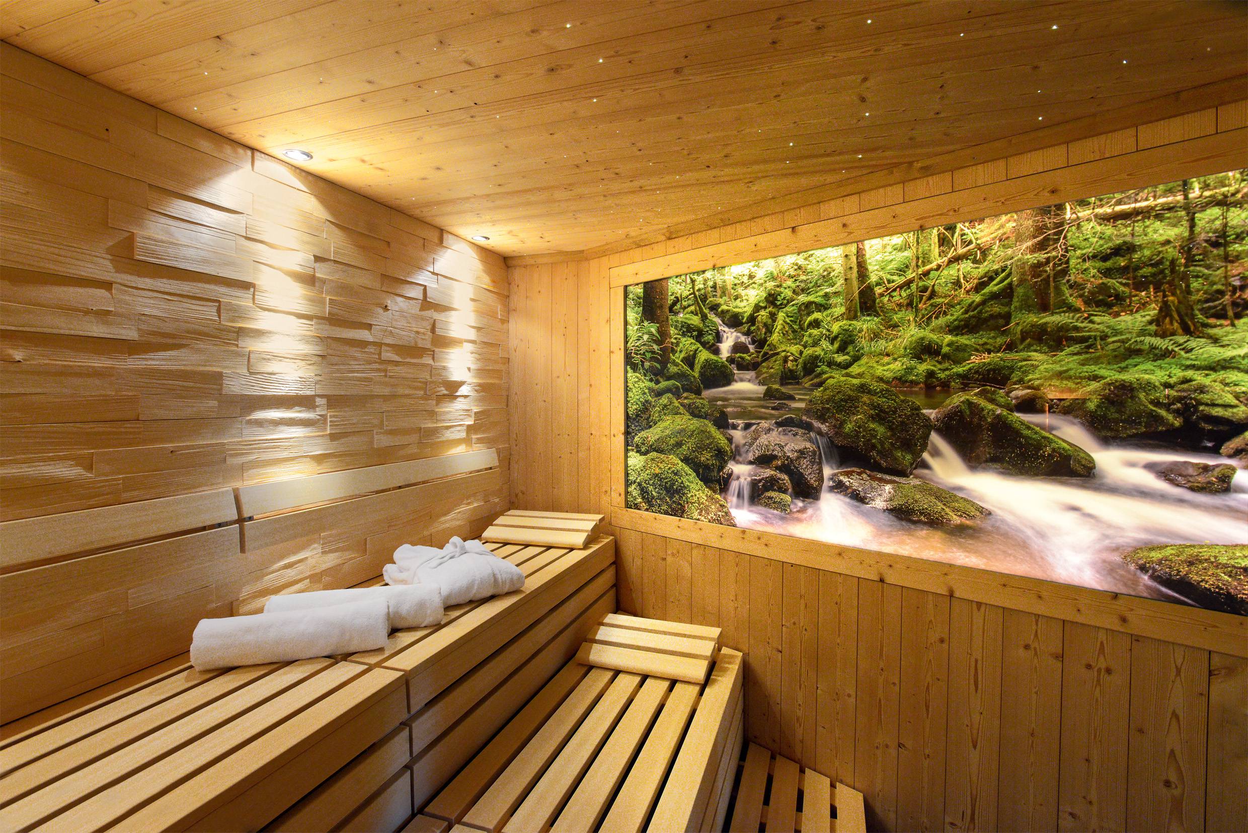 Wellness Hotel Schwarzwald Mit Hund – YWOJ